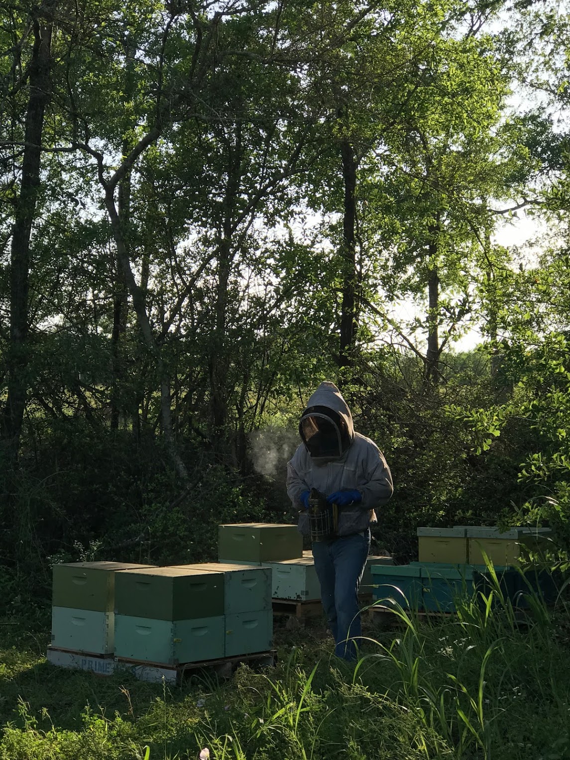 Texas Beekeeping 101